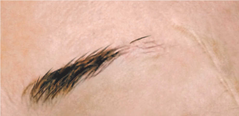 Narbenüberzeichnung : Permanent Make up – Augenbrauen, Lidstrich ...